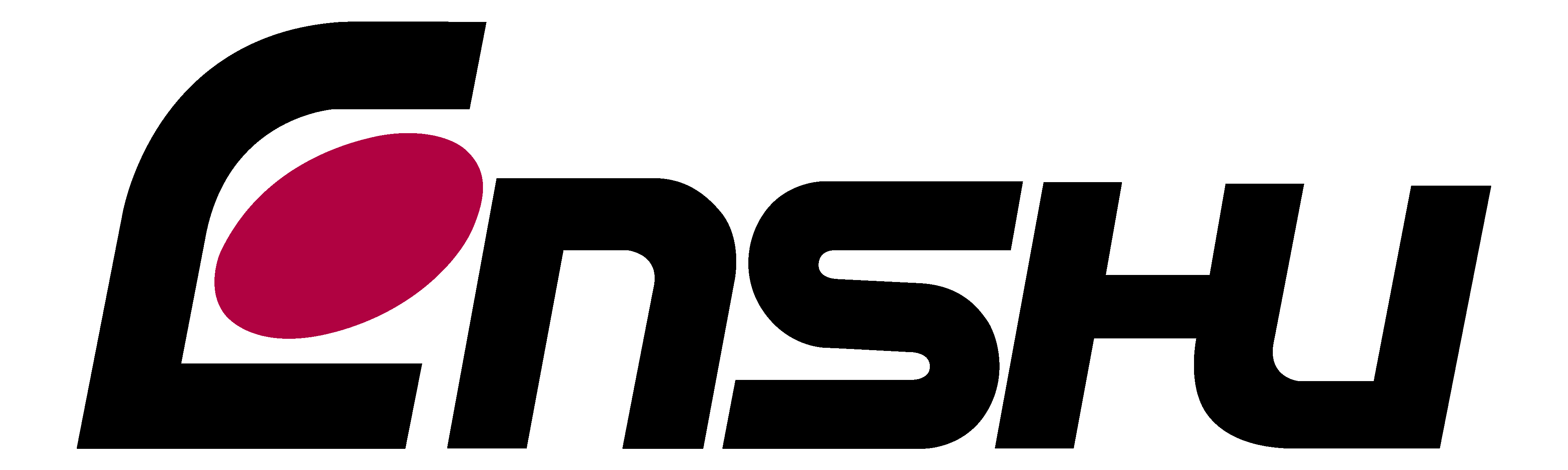 ENSHU VIETNAM Co.,Ltd. - fbchcm_2019